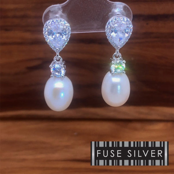 E146102 – FuseSilver